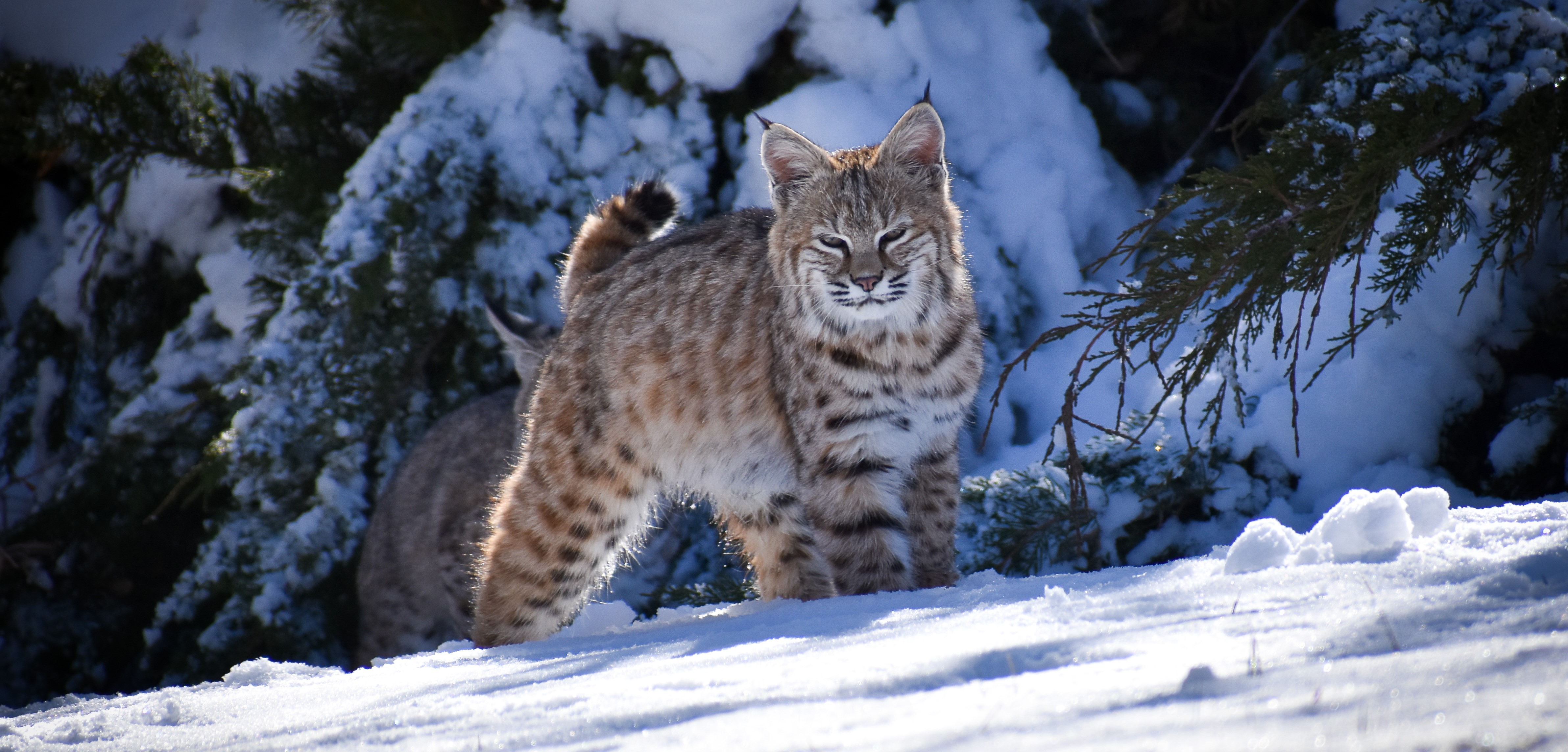 Hess Photography – capture it all